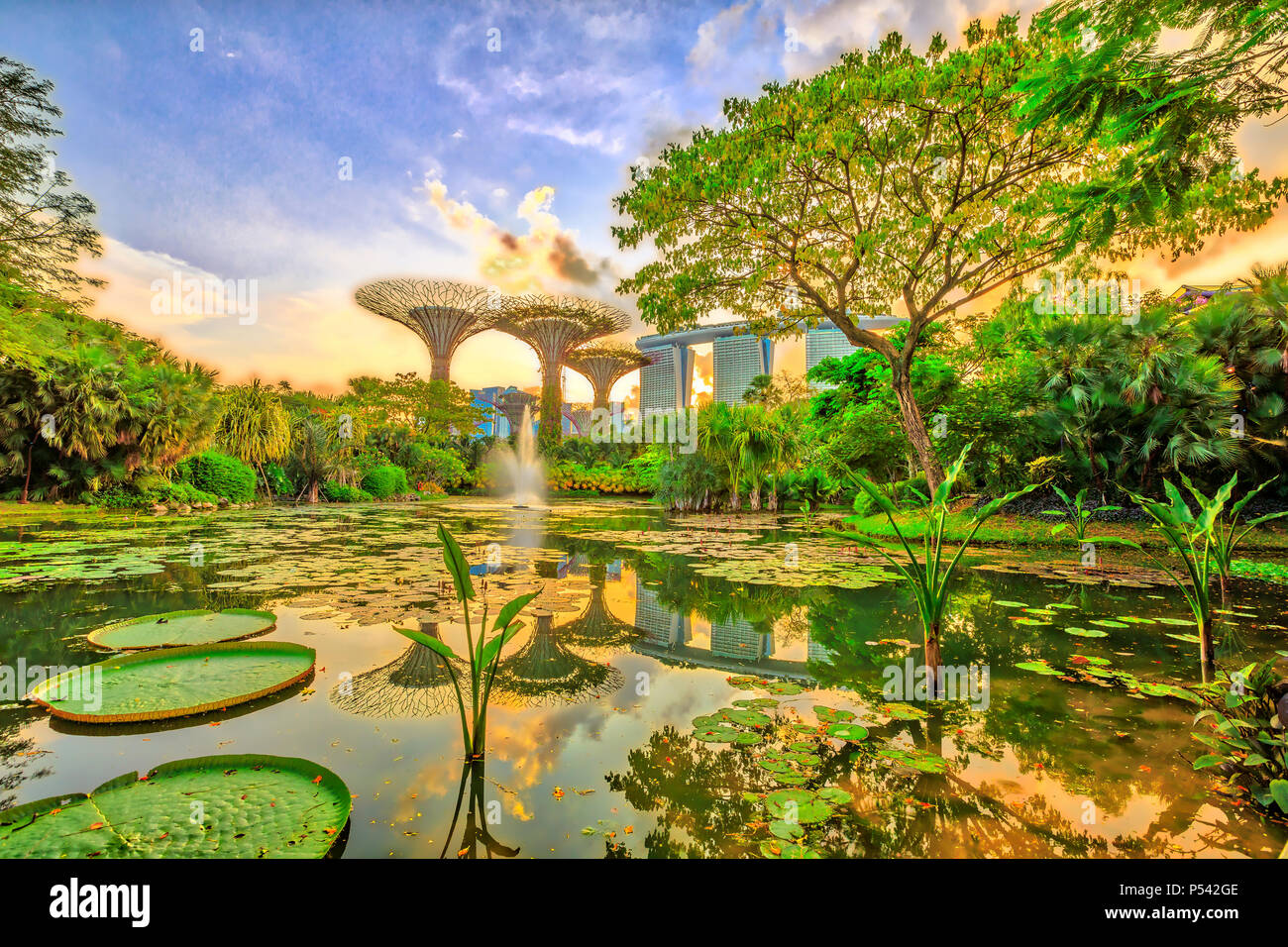 Blue hour skyline of Gardens by the Bay with blue and violet lighting ...