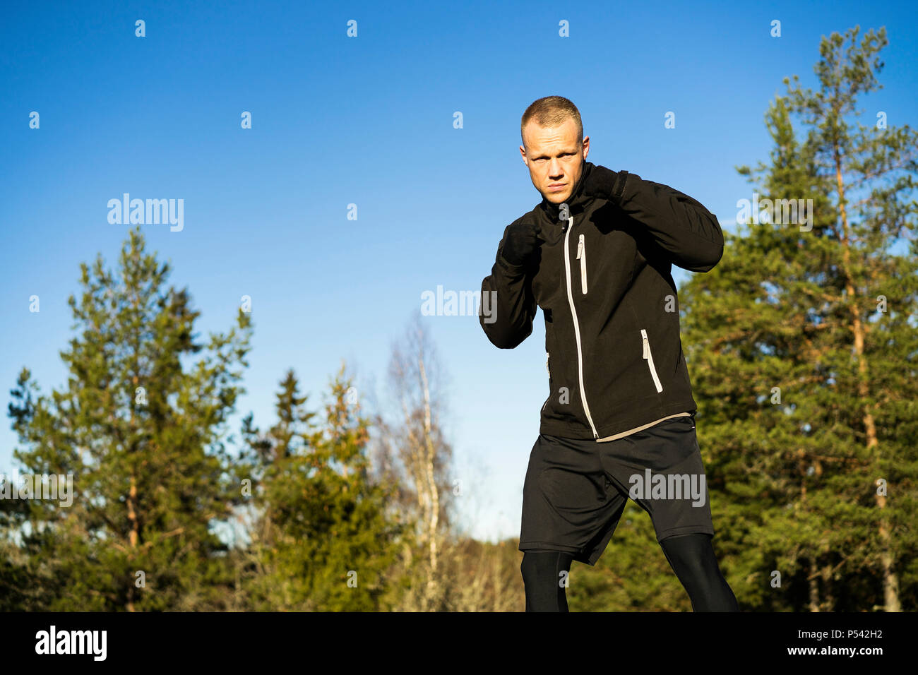 Male caucasian middle age boxer training outside in nature. Nice sunny ...