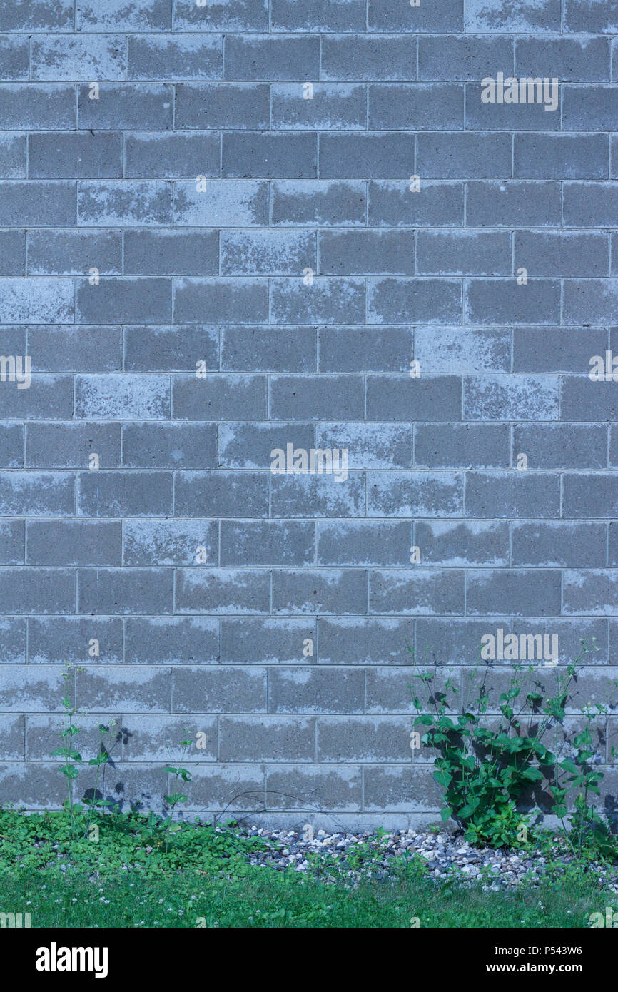 Close-up view of an exterior cinder block cement wall with naturally ...