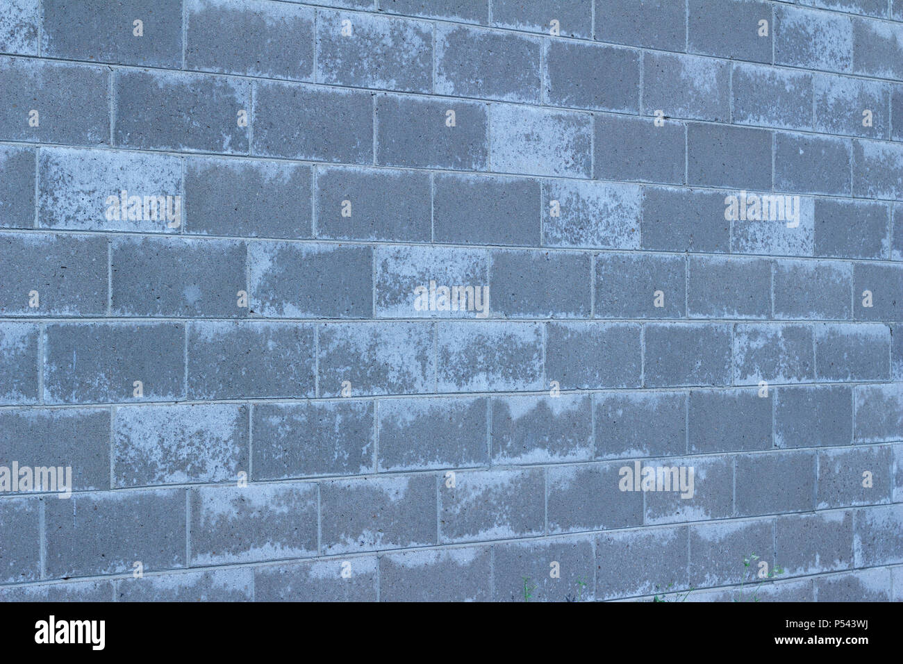 Close-up view of an exterior cinder block cement wall with naturally ...