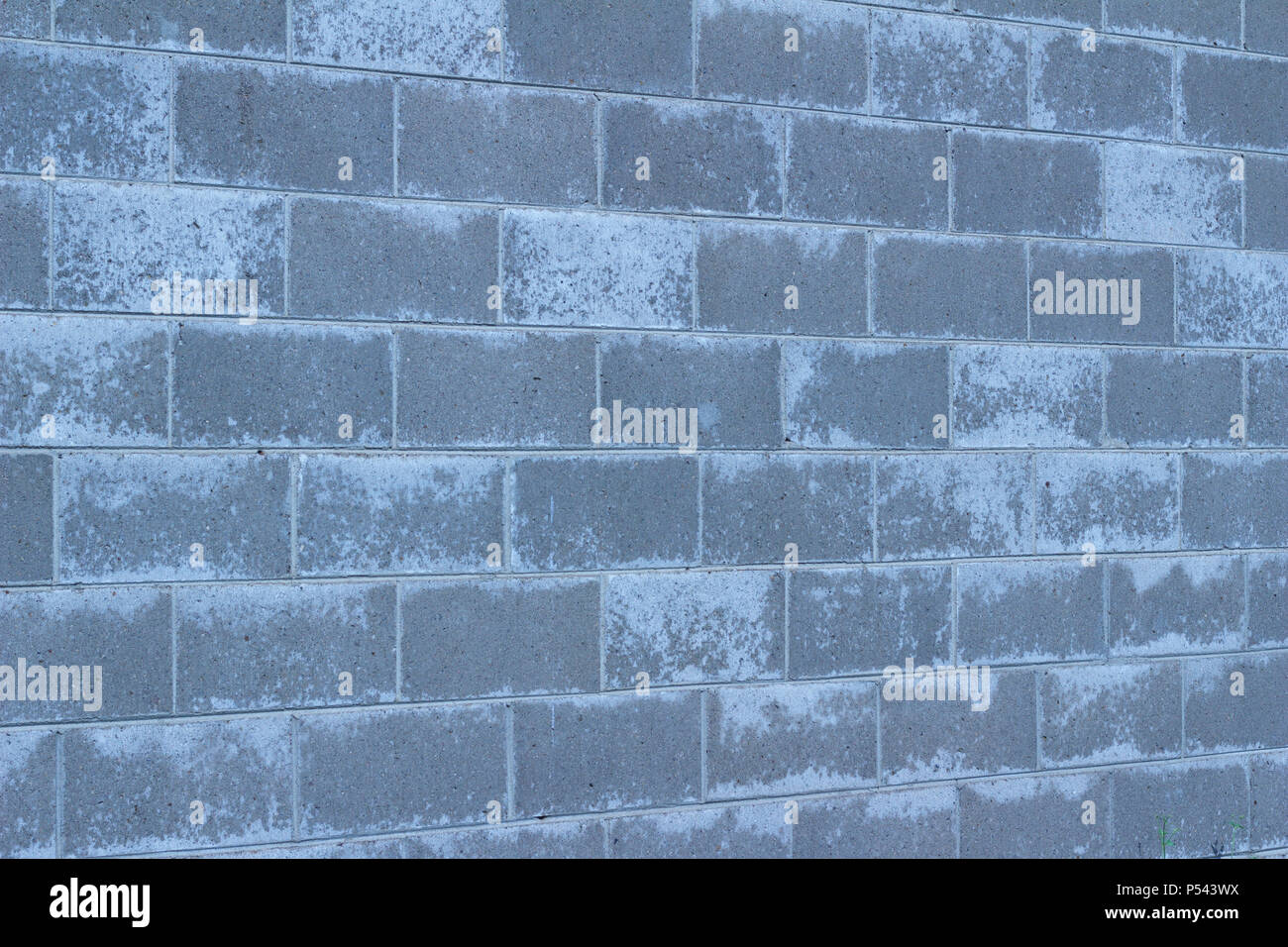 Close-up view of an exterior cinder block cement wall with naturally ...