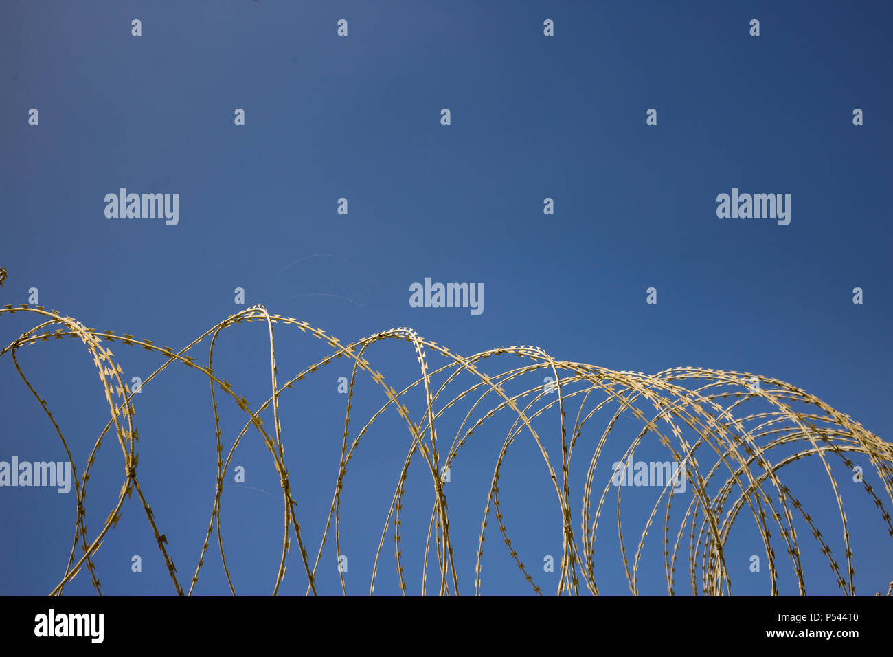 Wire circle mesh metal fence, sharp with razors, barbed, provides ...