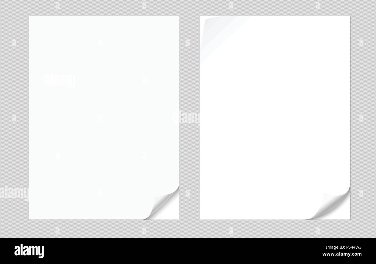 Folded white paper corners, set of notebook sheets are on squared ...