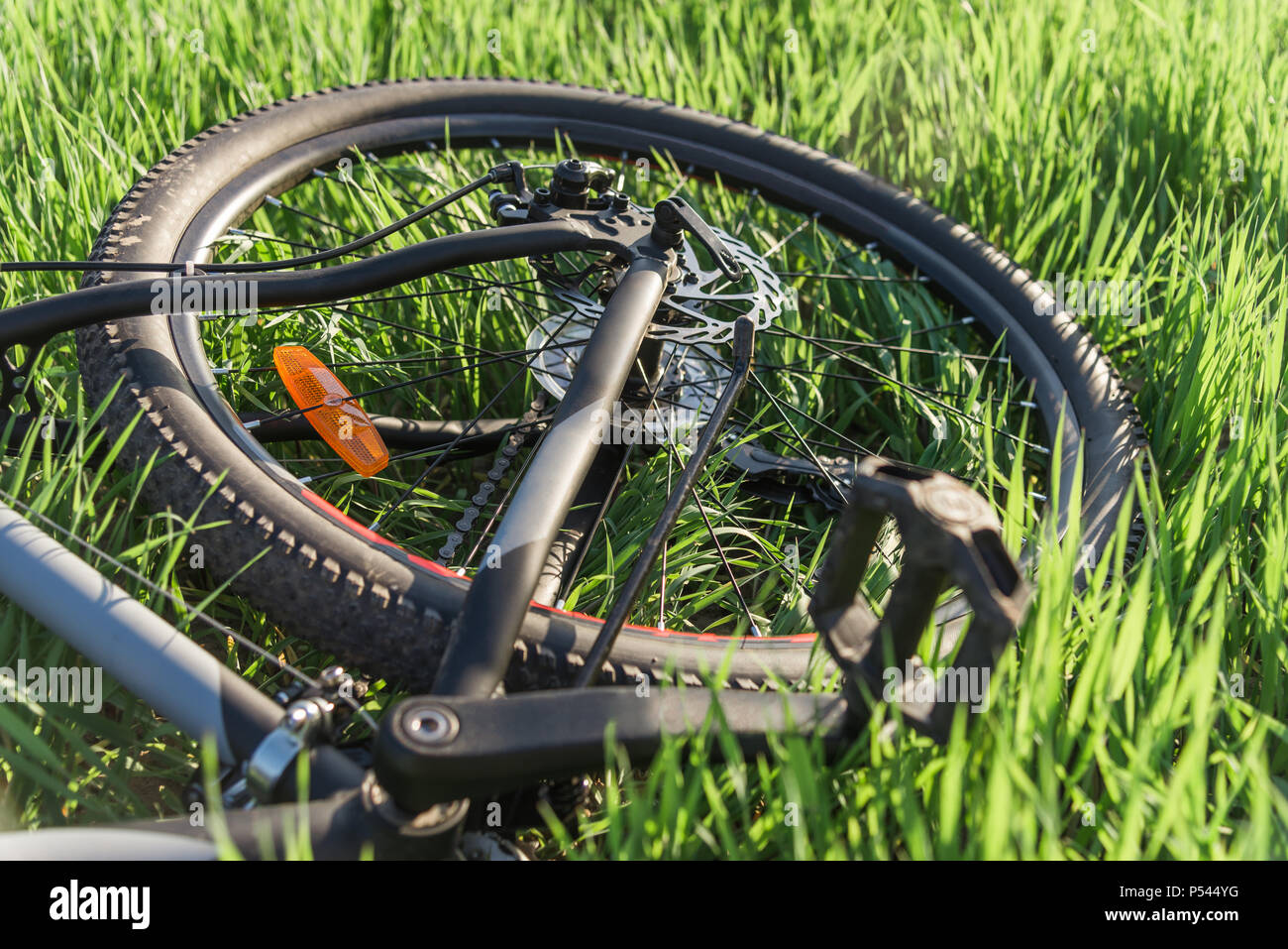 Top view front bicycle wheel hi-res stock photography and images - Alamy