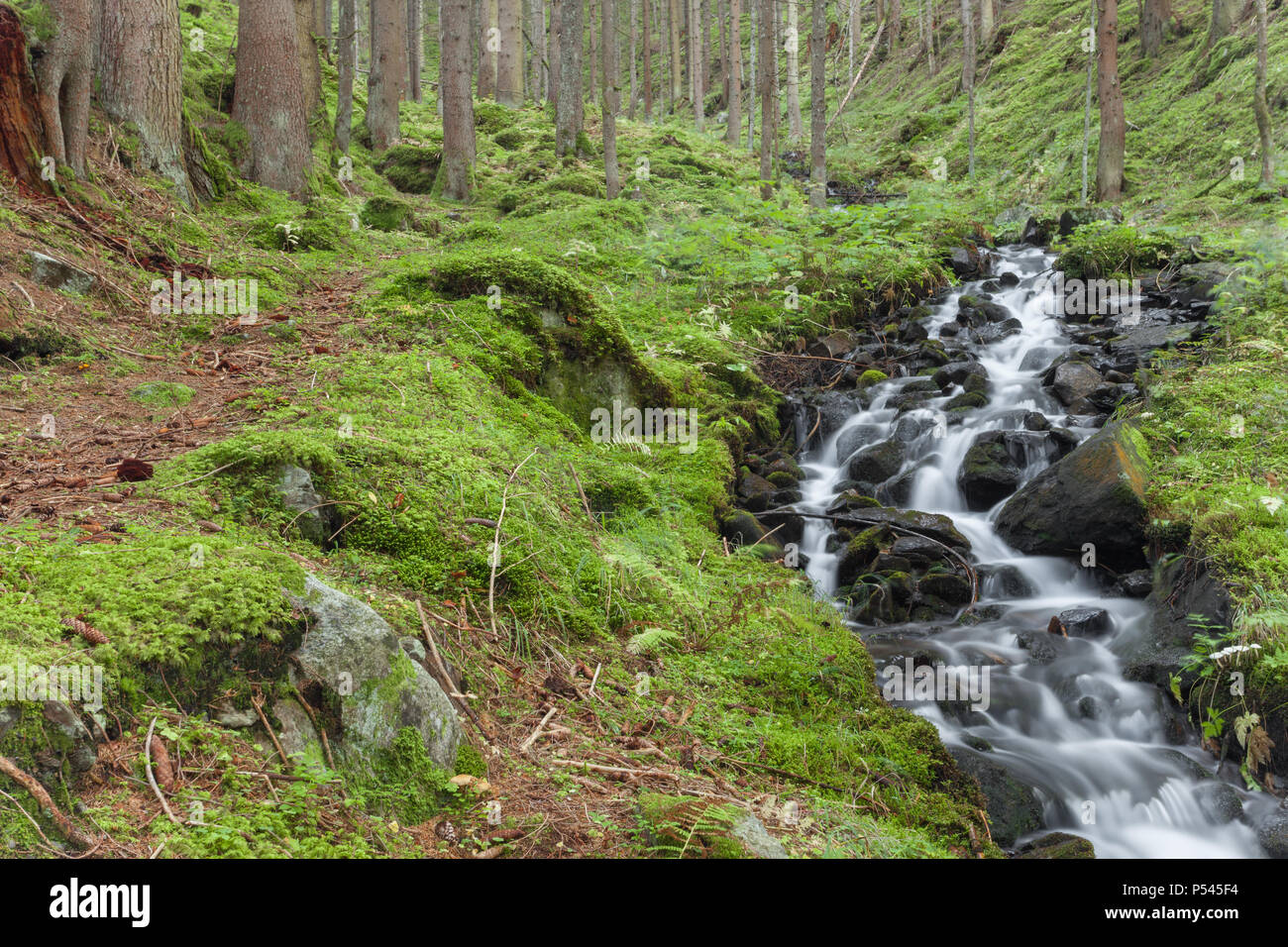 Water flows in mountain river hi-res stock photography and images - Alamy