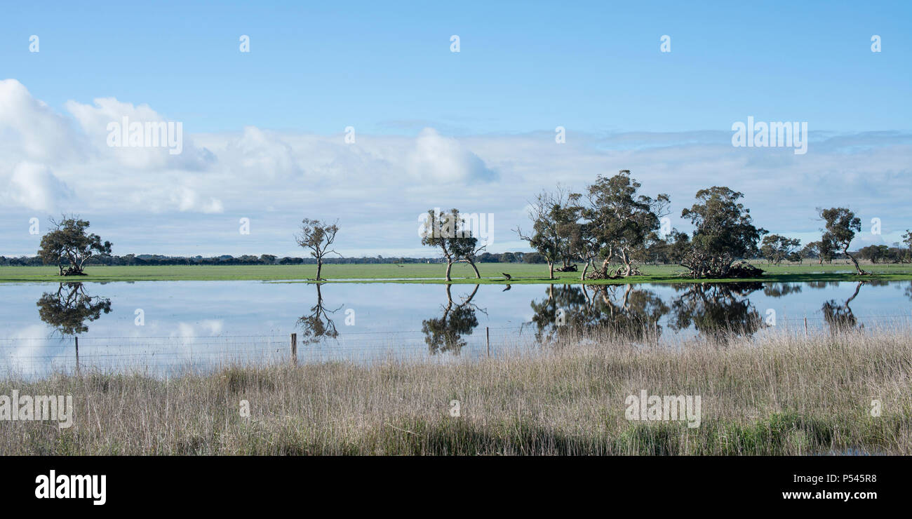 Trees and pond, Victorian countryside Stock Photo - Alamy