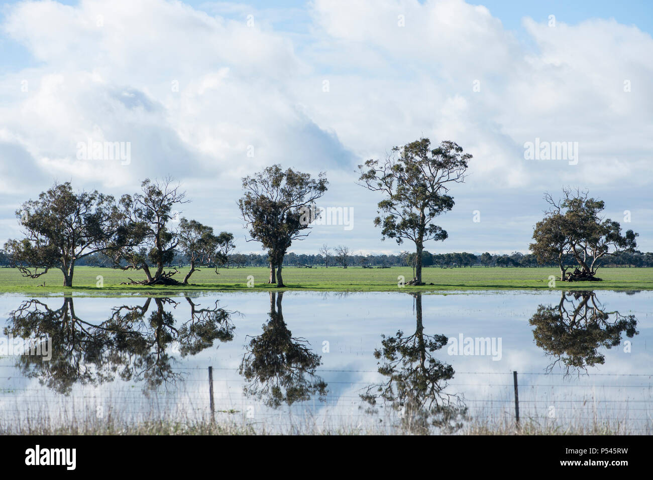 Victorian countryside australia hi-res stock photography and images - Alamy