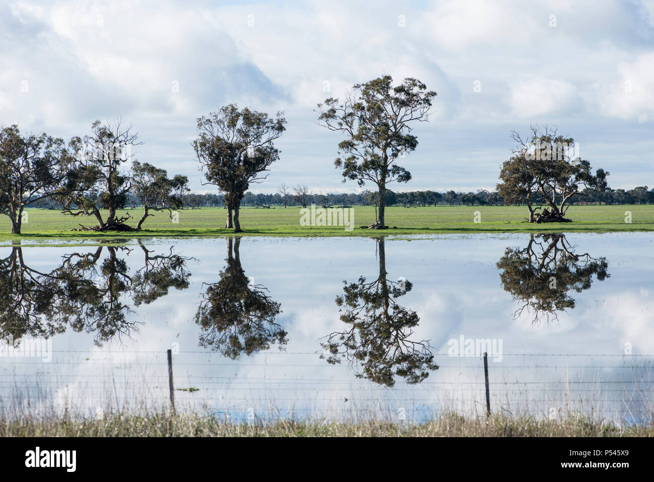 Trees and pond, Victorian countryside Stock Photo - Alamy