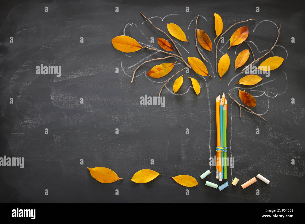 Back to school concept. Top view banner of tree sketch with autumn dry ...