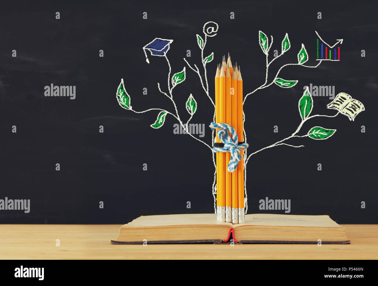 Back to school concept. tree of knowledge sketch and pencils over open ...