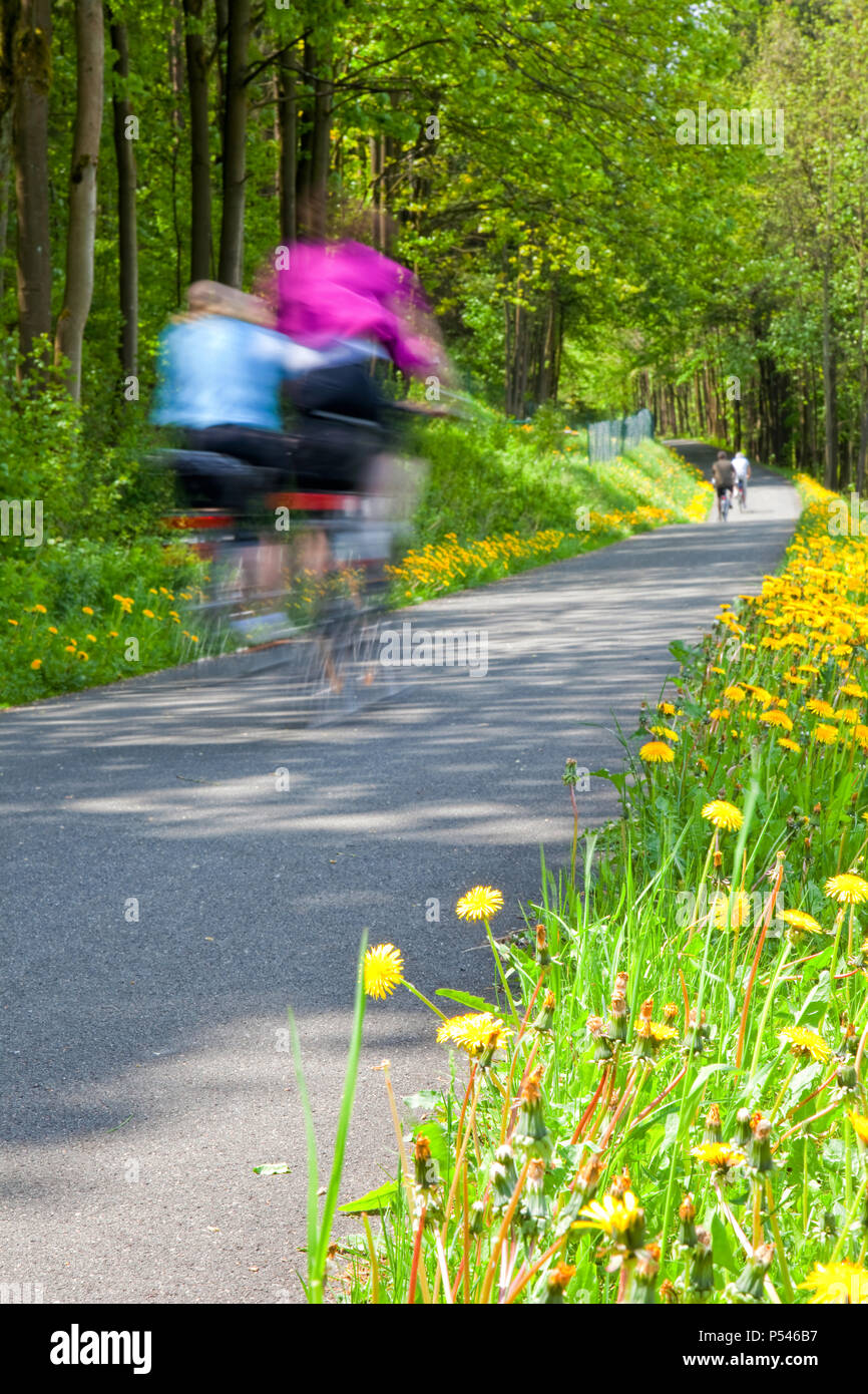 Family bike ride woods hi-res stock photography and images - Alamy