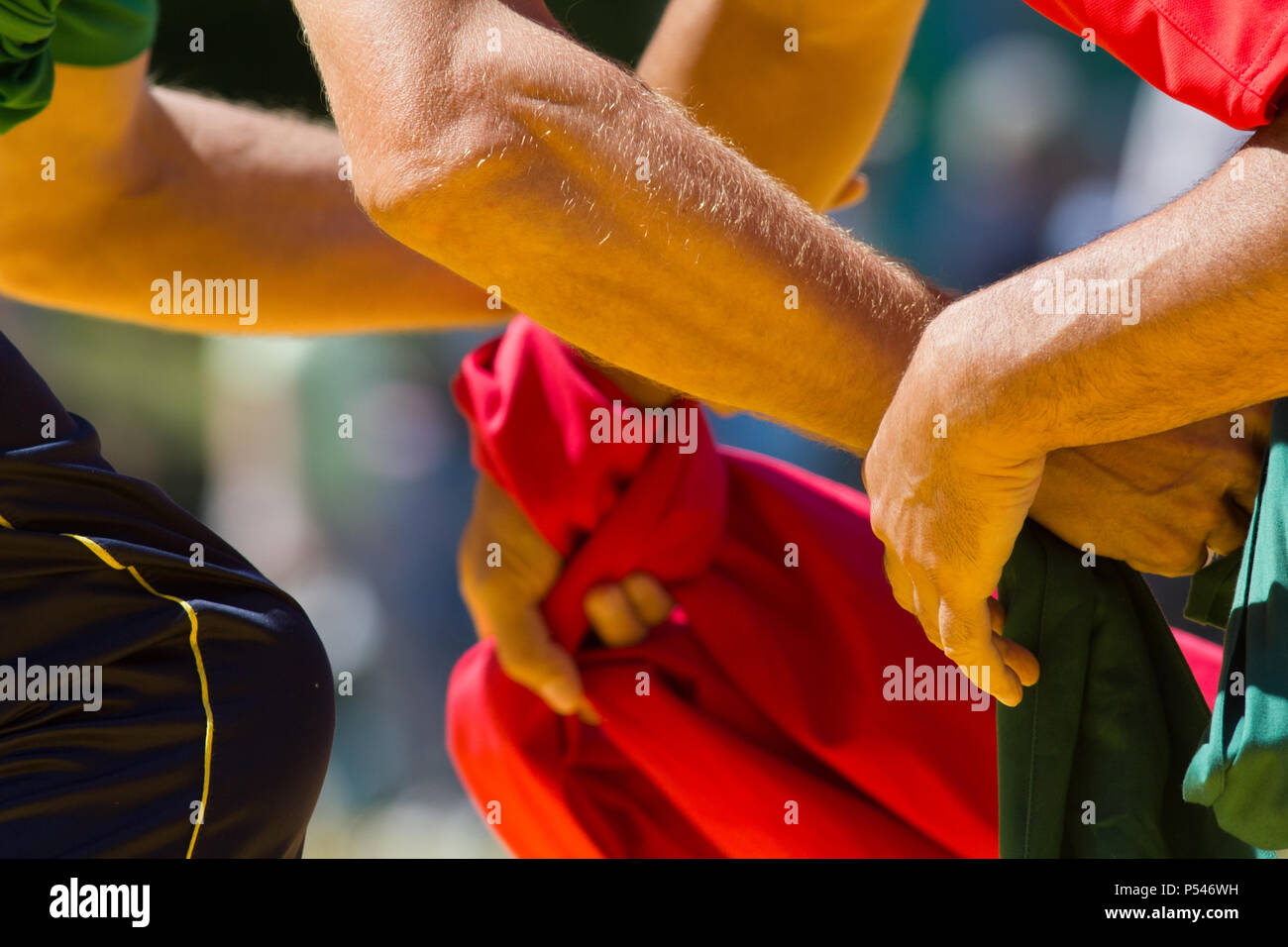 Hands of men in the struggle of national wrestling kuresh at sunny day ...