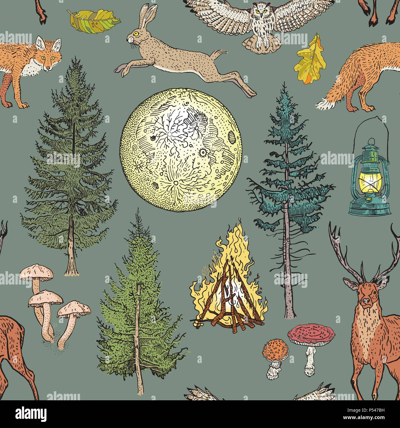 Magic forest fir tree Stock Vector Images - Alamy