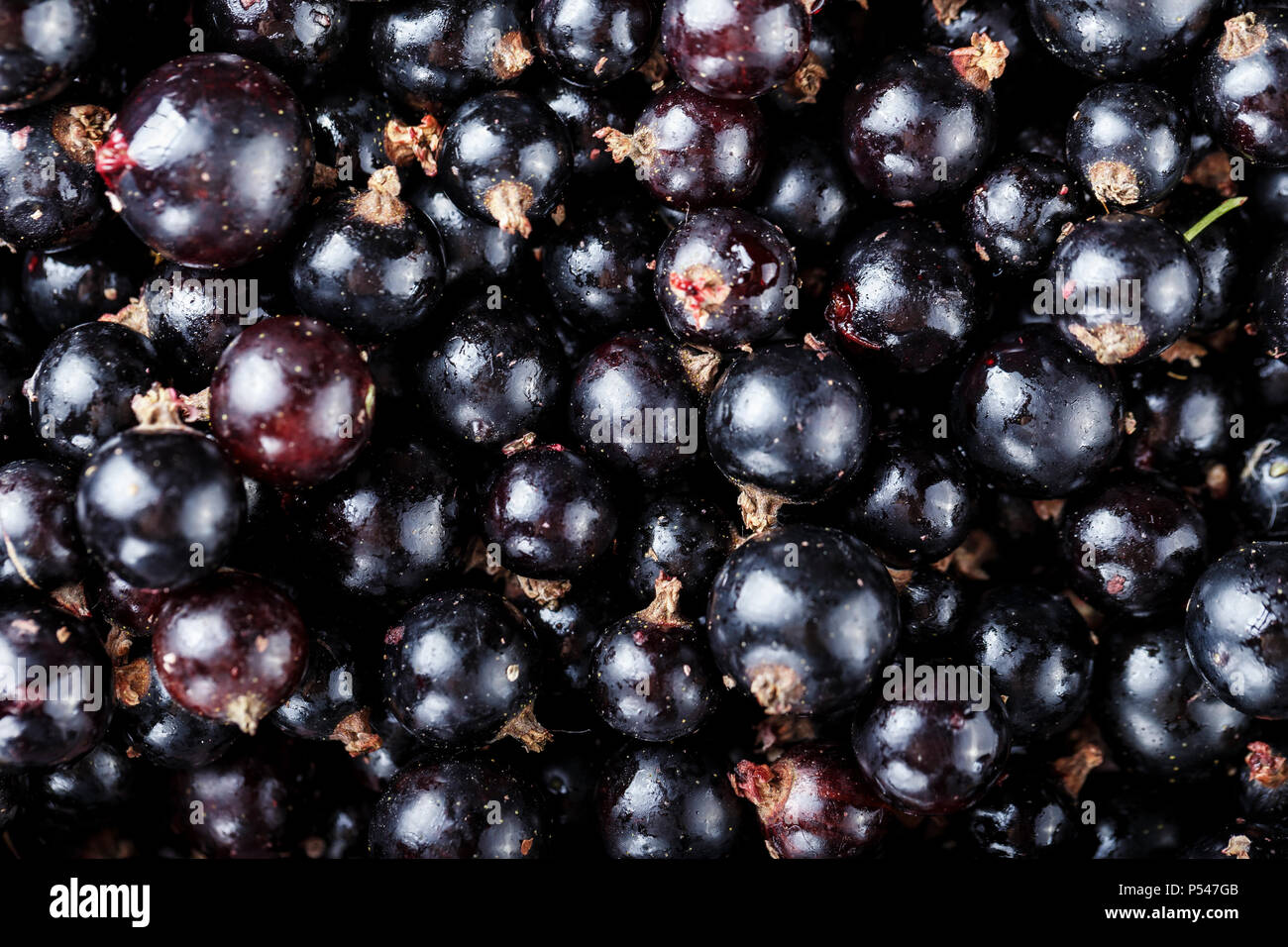 Blackberry close-up background. top view Stock Photo - Alamy