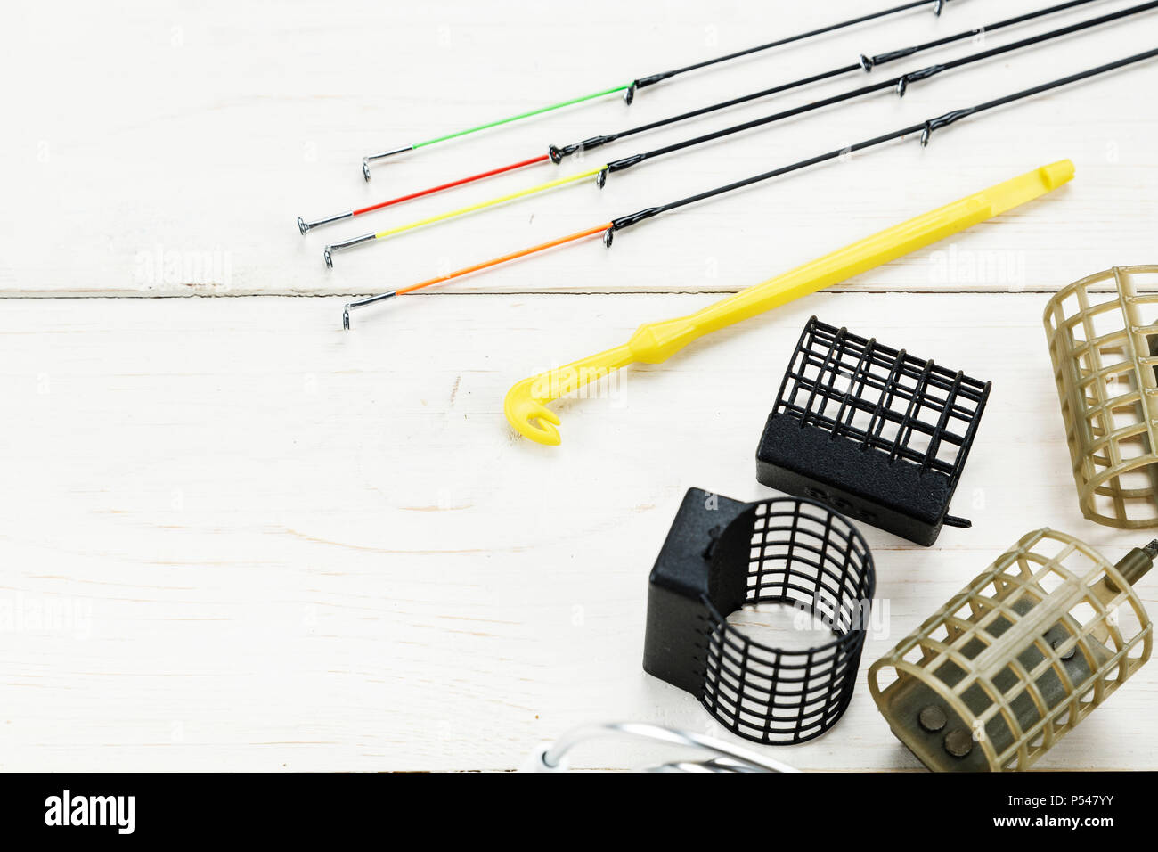 Bottom feeder fish hi-res stock photography and images - Alamy