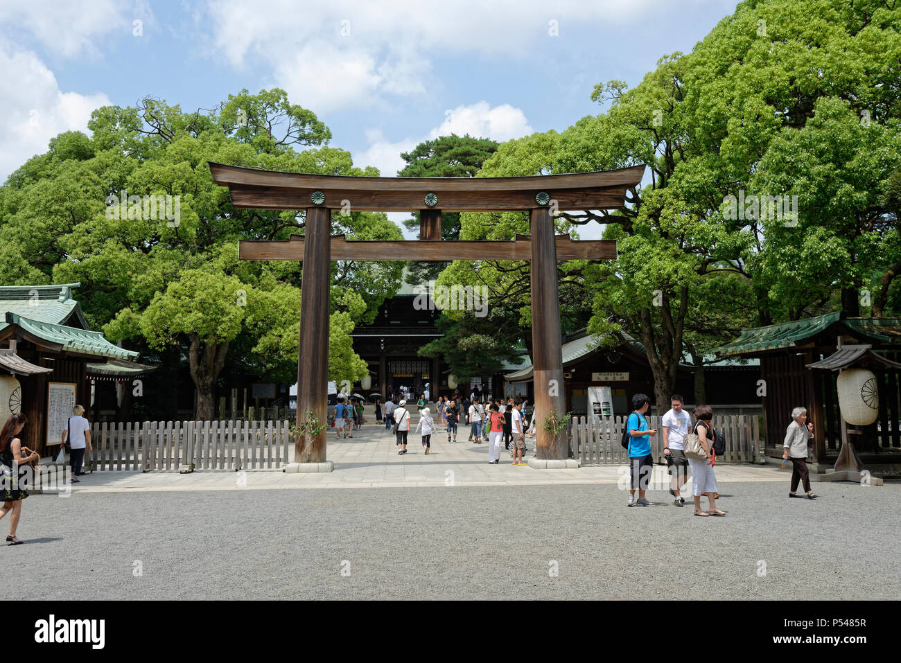 Torii gates, Meiji shrine, Tokyo, Japan Stock Photo - Alamy