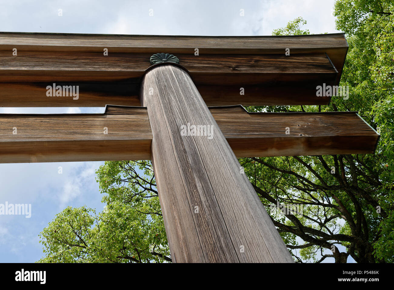 Torii gates, Meiji shrine, Tokyo, Japan Stock Photo - Alamy
