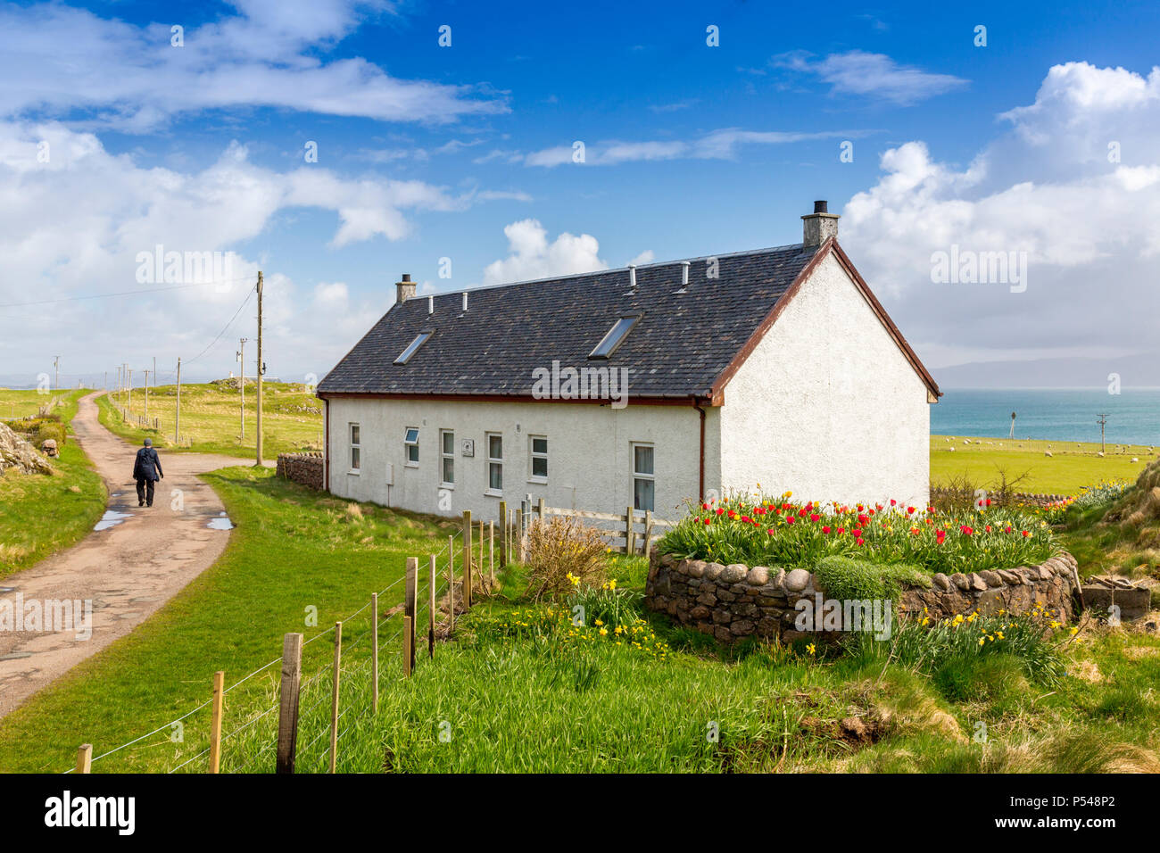 An isolated whitewashed cottage with a display of spring flowers on the ...