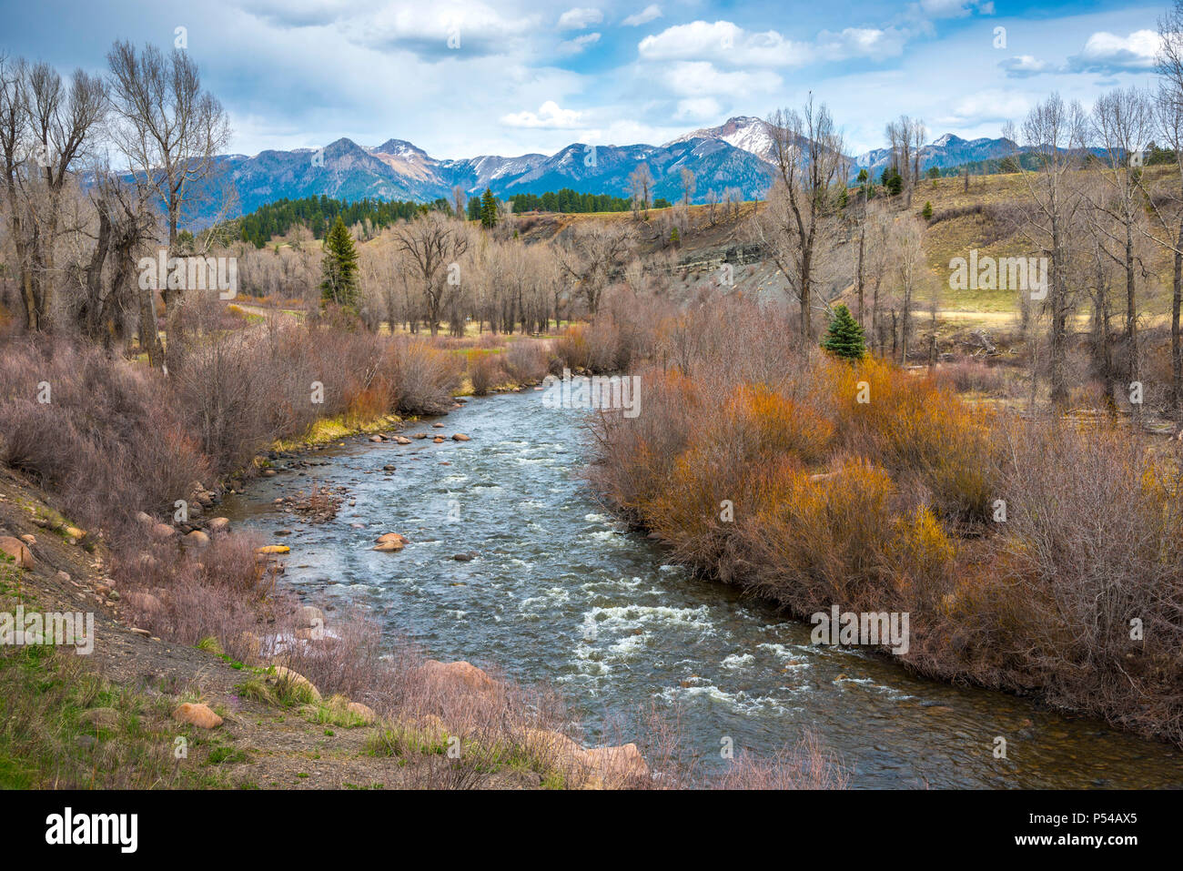 San juan river, pagosa springs hi-res stock photography and images - Alamy