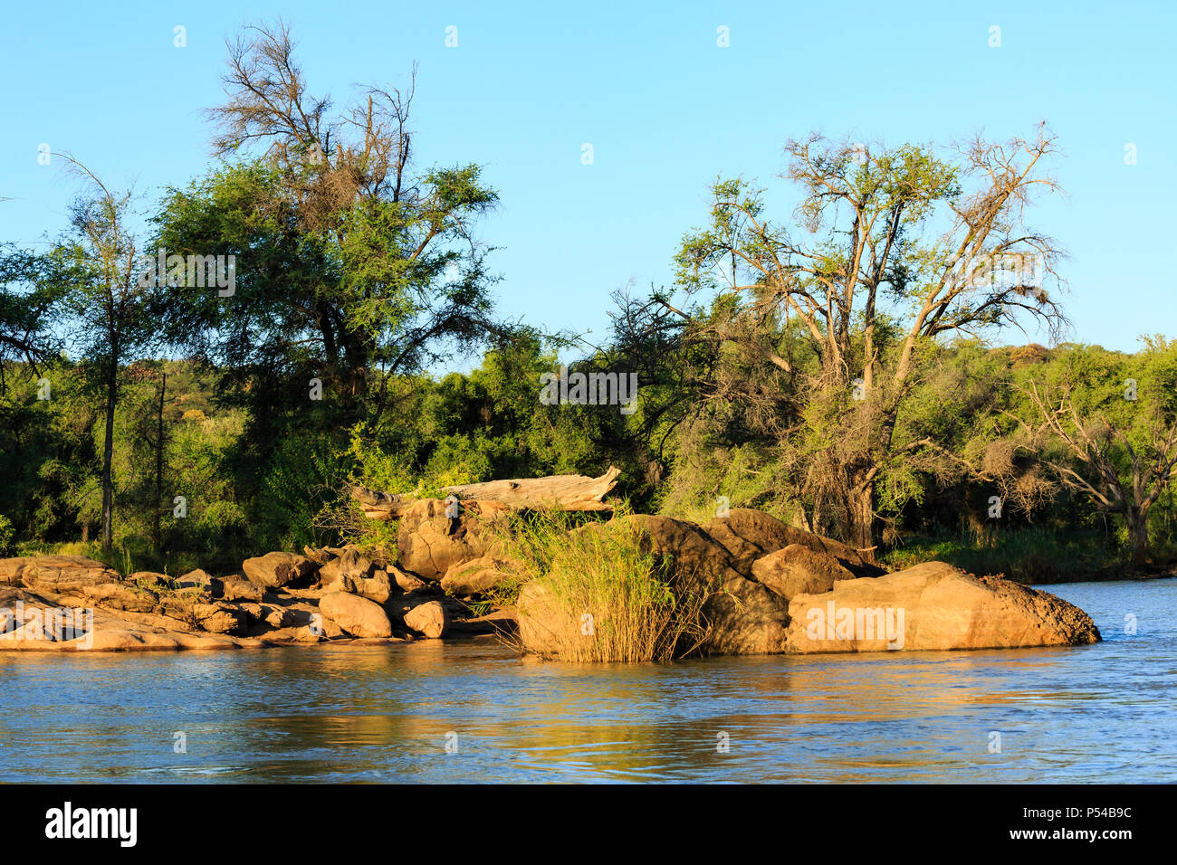 Banks of the Kunene, Namibian-Angolan border, Kunene region, Angola ...