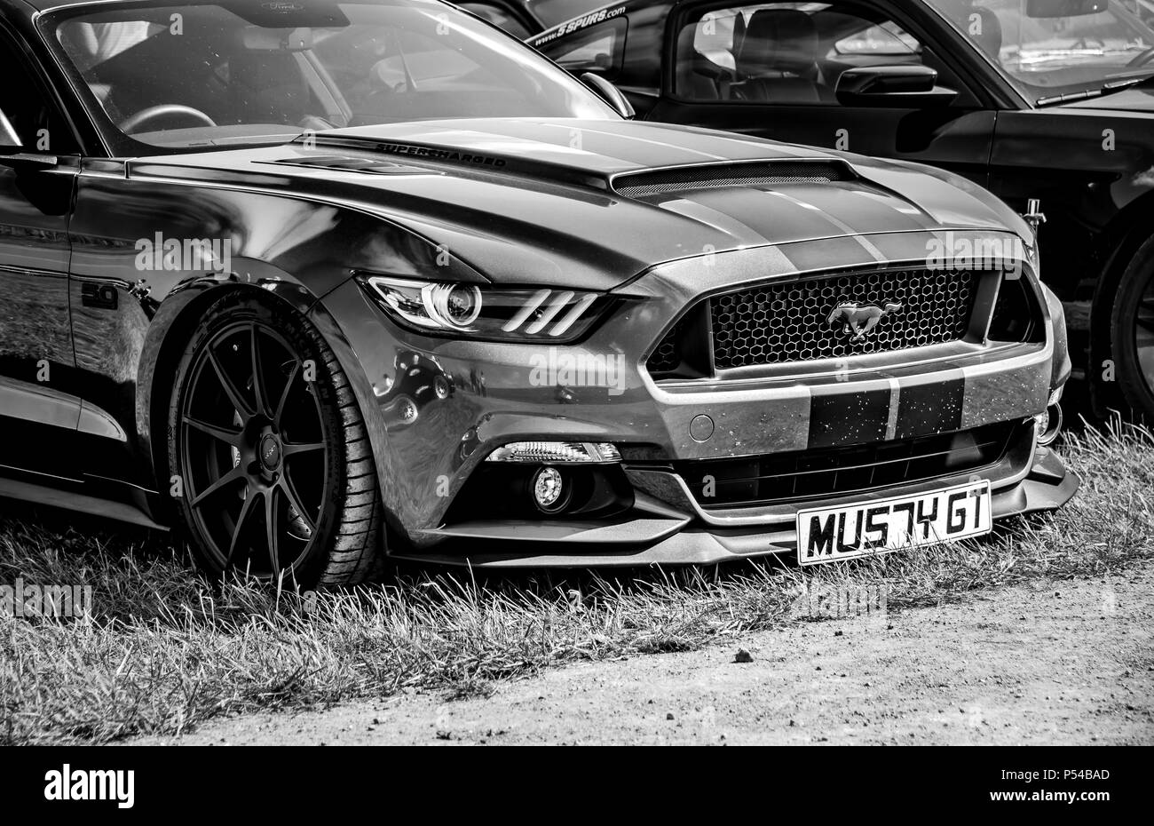 Muscle sporty Black and White Stock Photos & Images - Alamy