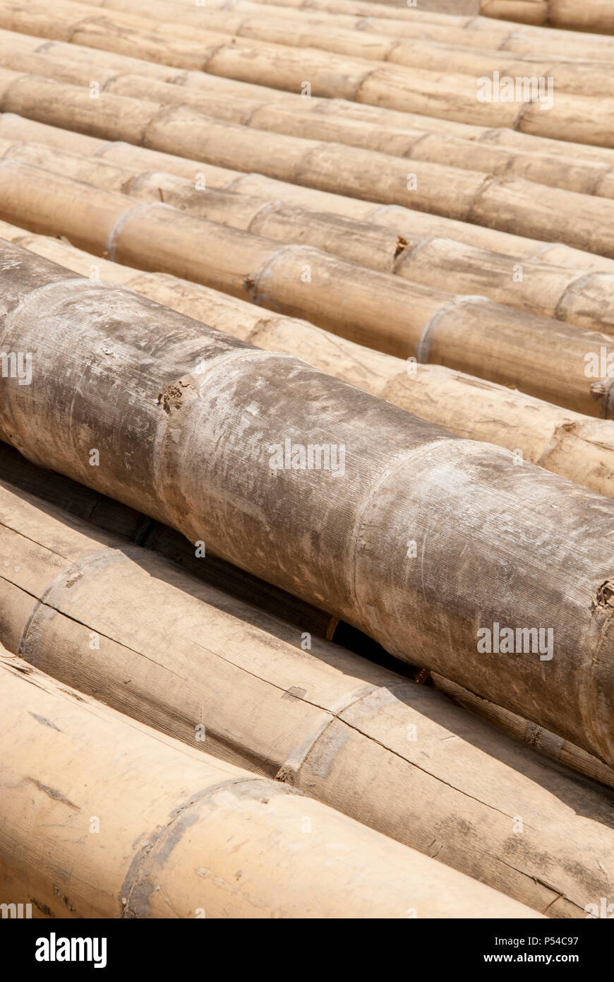 Bamboo timber construction material - Trujillo Peru Stock Photo - Alamy