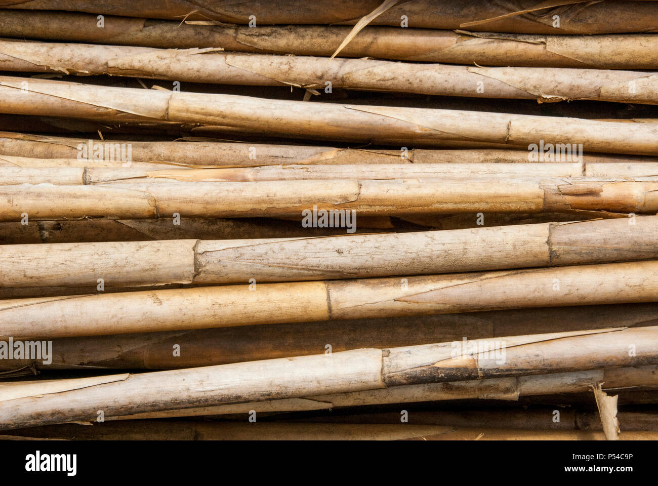 Bamboo timber construction material - Trujillo Peru Stock Photo - Alamy
