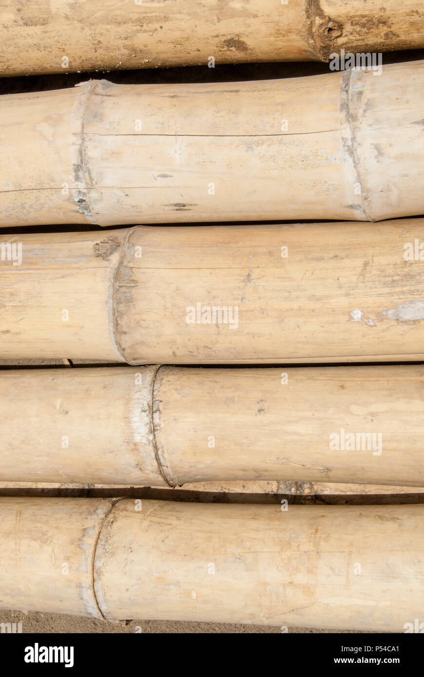 Bamboo timber construction material - Trujillo Peru Stock Photo - Alamy