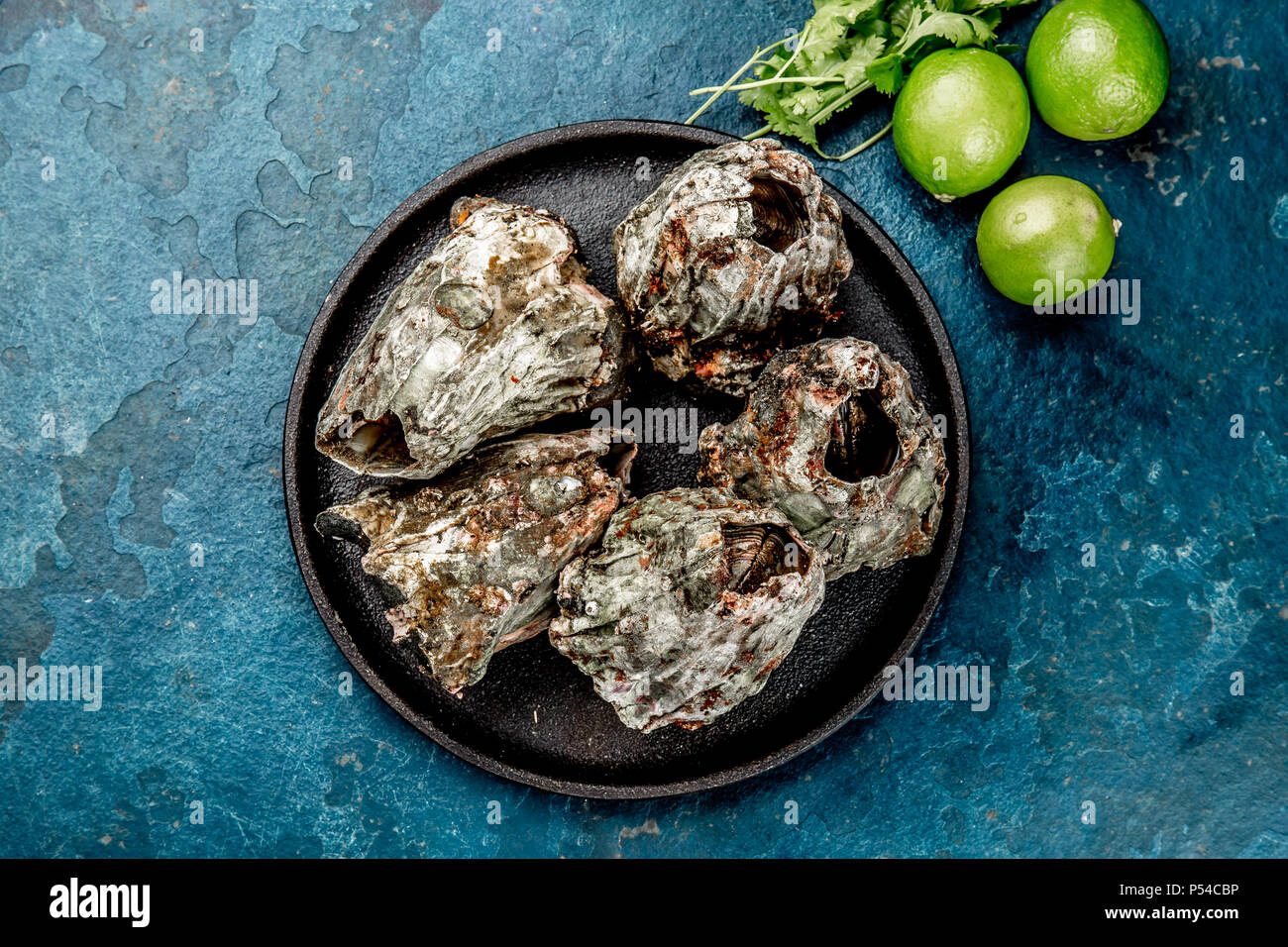 Pyura High Resolution Stock Photography and Images - Alamy