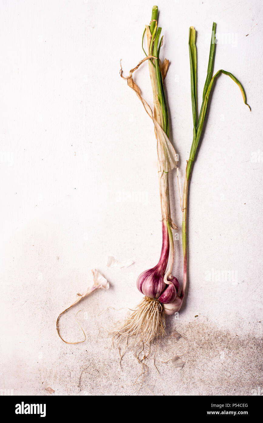 Garlic with stalk hi-res stock photography and images - Alamy