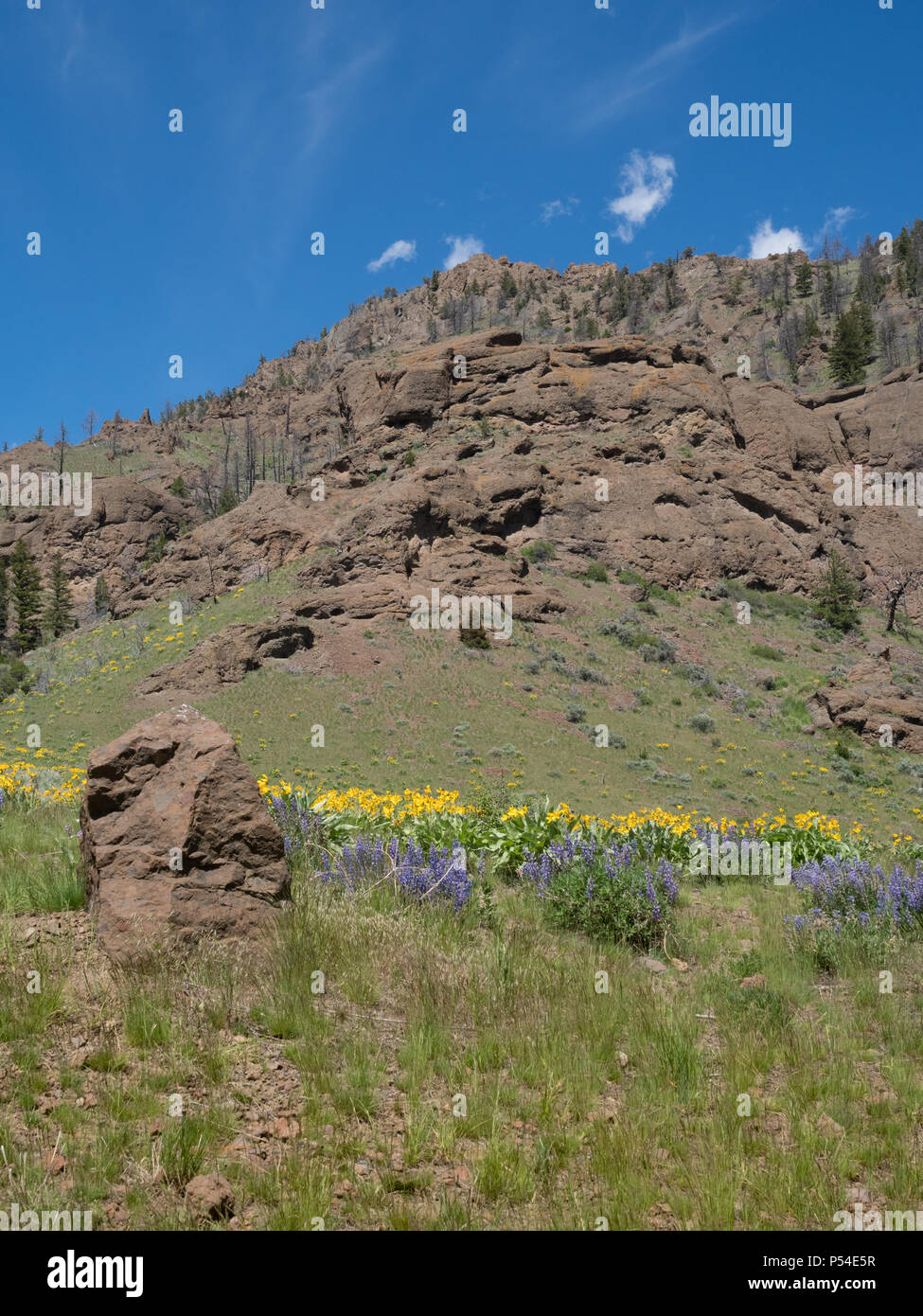 Metamorphic rock cliff hi-res stock photography and images - Alamy