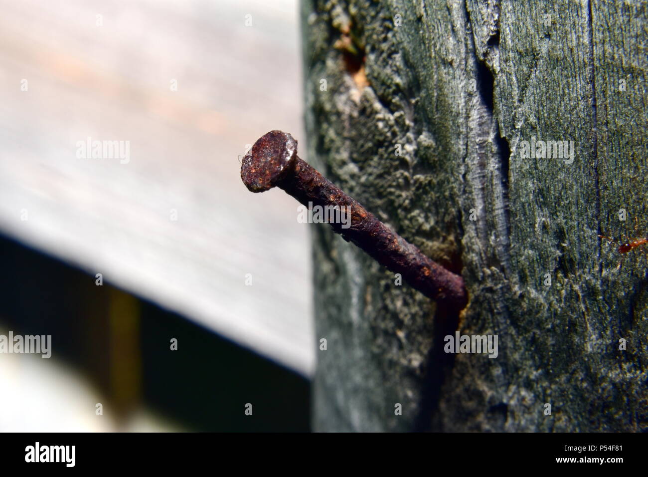 Rusty Nail High Resolution Stock Photography and Images - Alamy