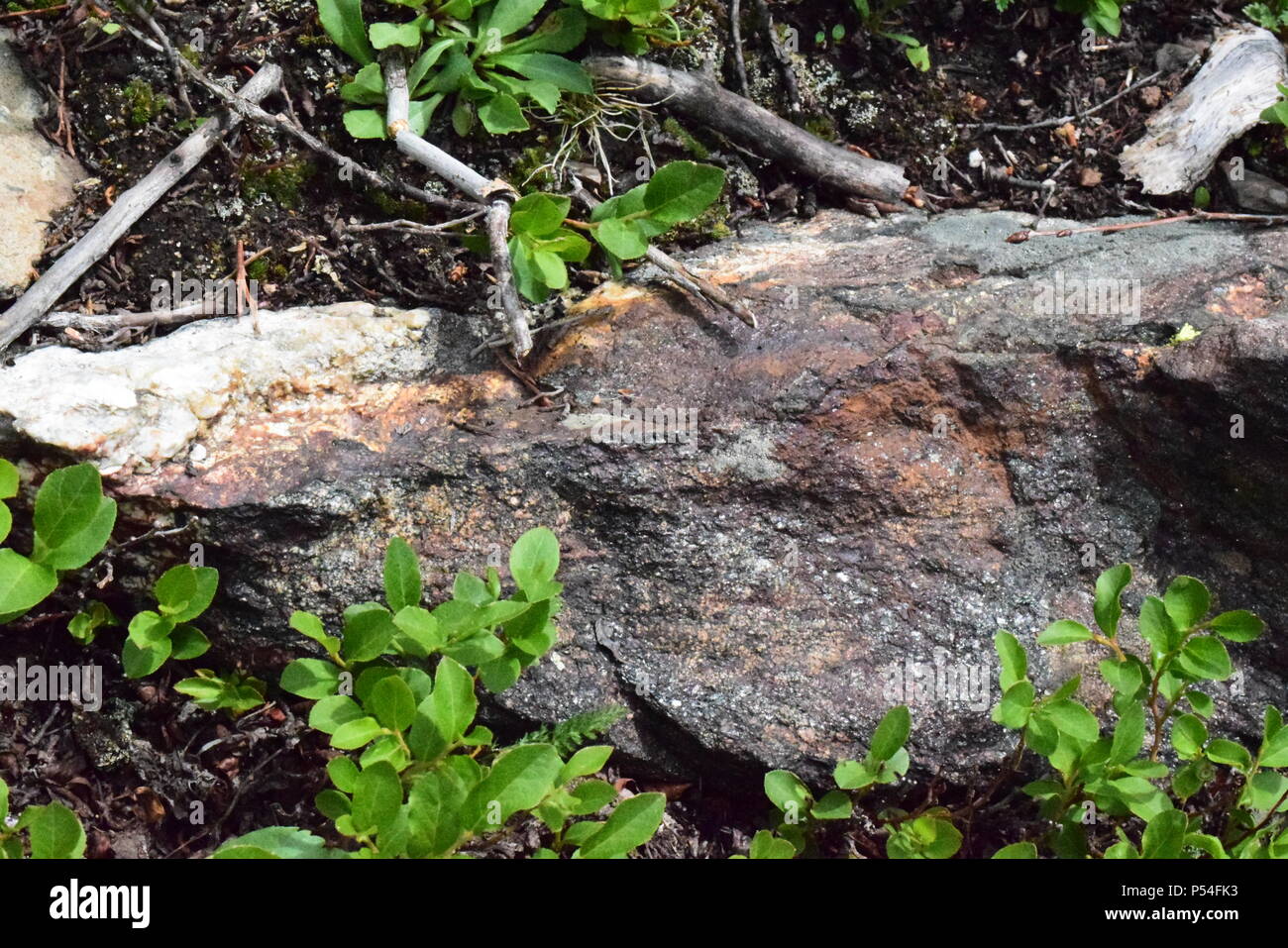 Rock cool hi-res stock photography and images - Alamy