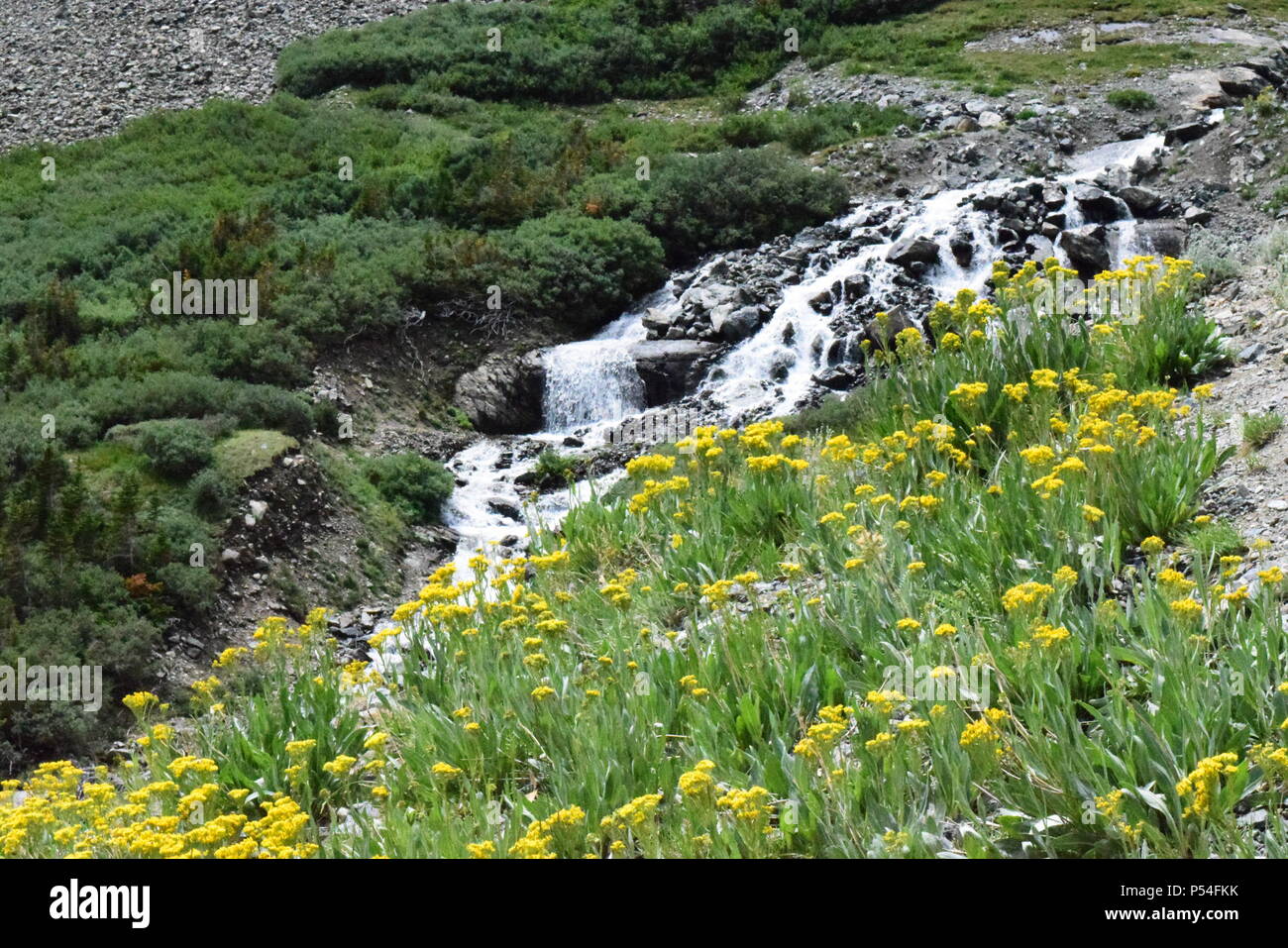 Beautiful stream running down hi-res stock photography and images - Alamy
