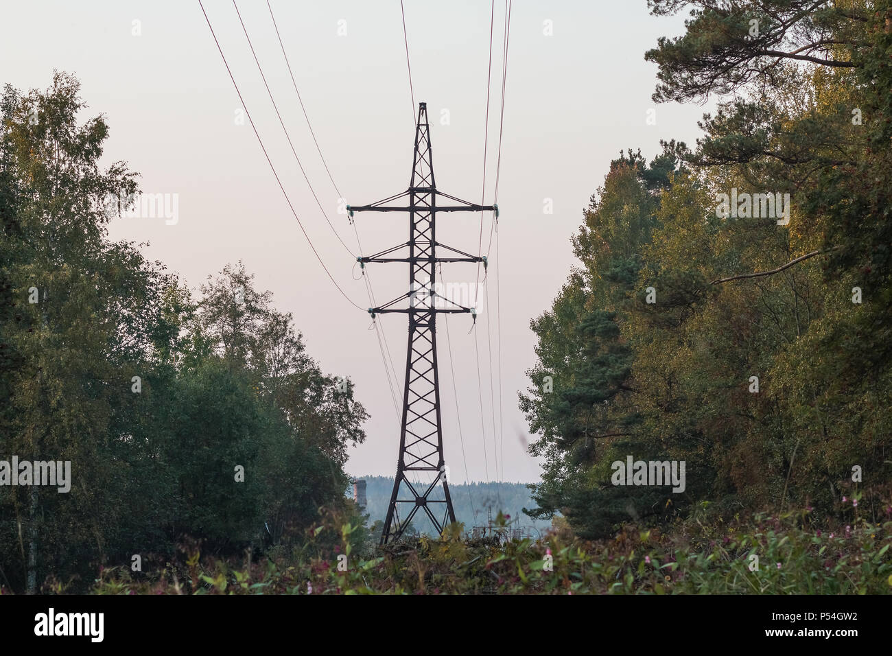 Electric Power Transmission Lines over trees. High voltage transmission ...