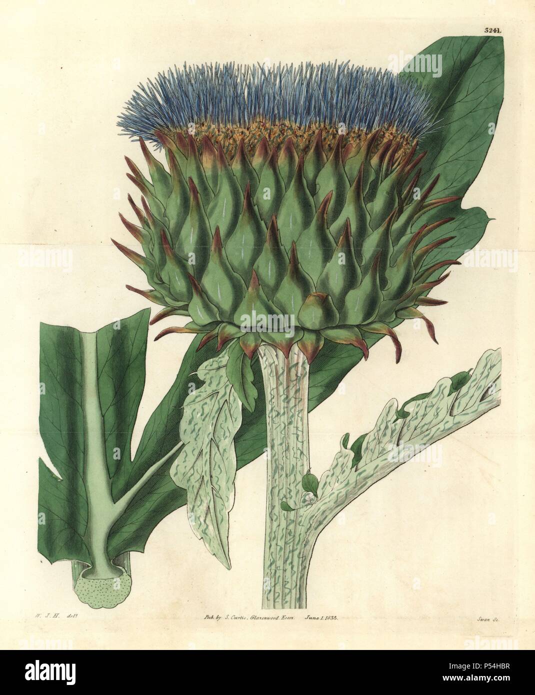 Joseph cardone hi-res stock photography and images - Alamy