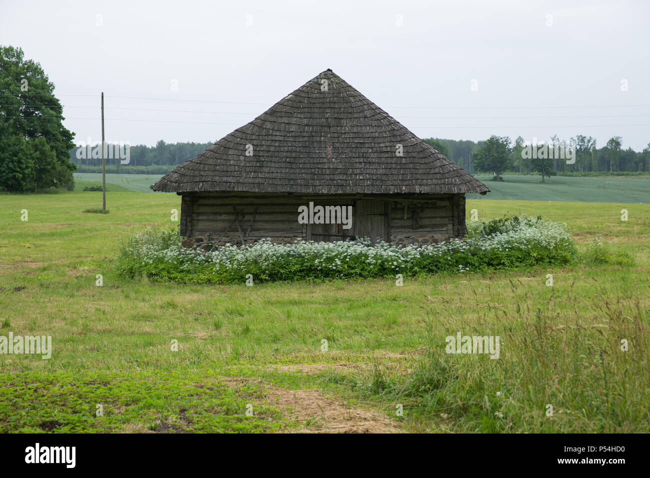 City Rauna, Latvia. Old bathhouse and green meadow, trees. Travel photo ...