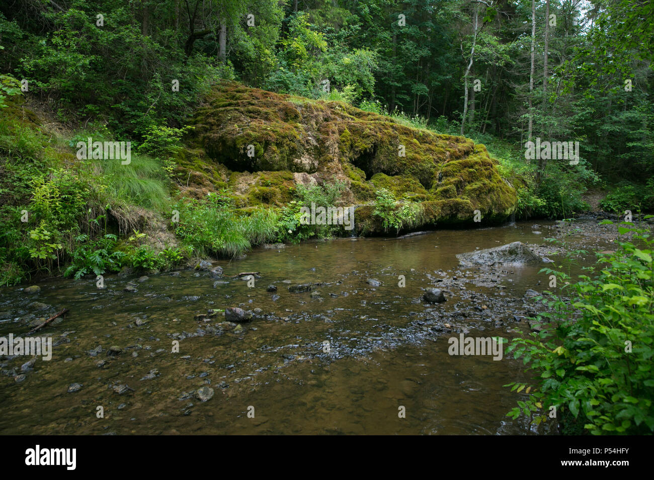 City Rauna, Latvia. Waterfall at wood, nature, green grass and water ...