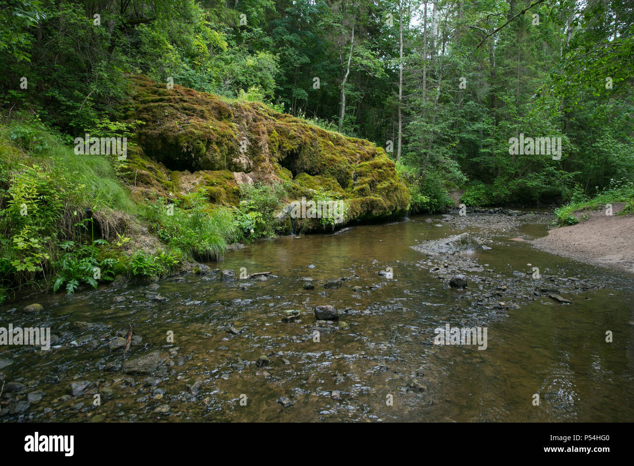 City Rauna, Latvia. Waterfall at wood, nature, green grass and water ...
