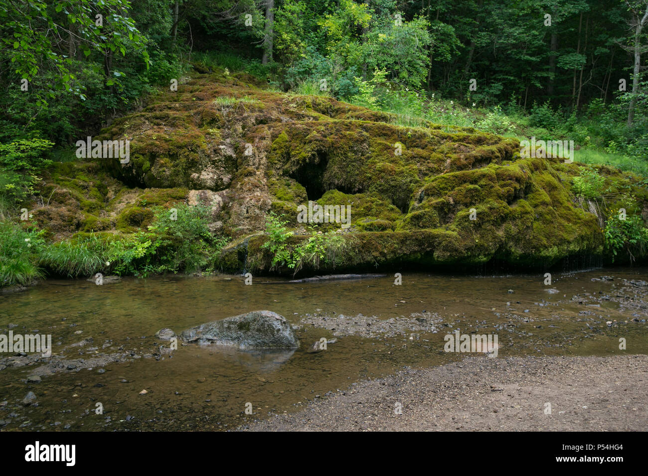 City Rauna, Latvia. Waterfall at wood, nature, green grass and water ...