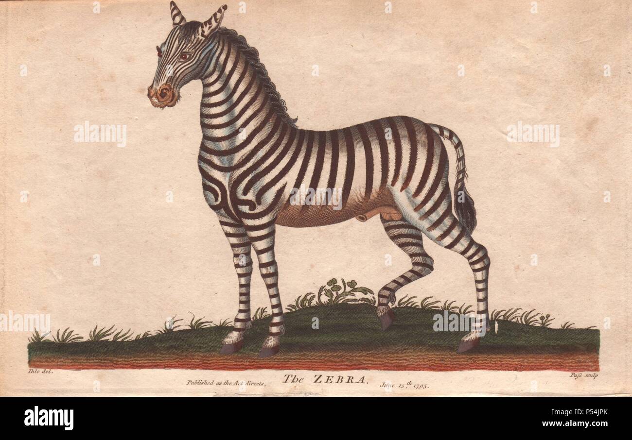 Sukotyro hi-res stock photography and images - Alamy