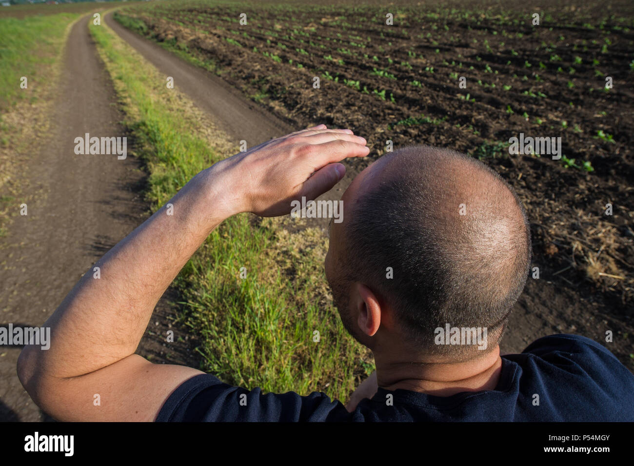Man Staring Into Distance Stock Photos & Man Staring Into Distance ...