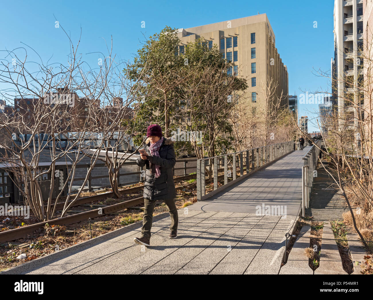 People walk the High Line Park in Manhattan, New York City, USA Stock ...