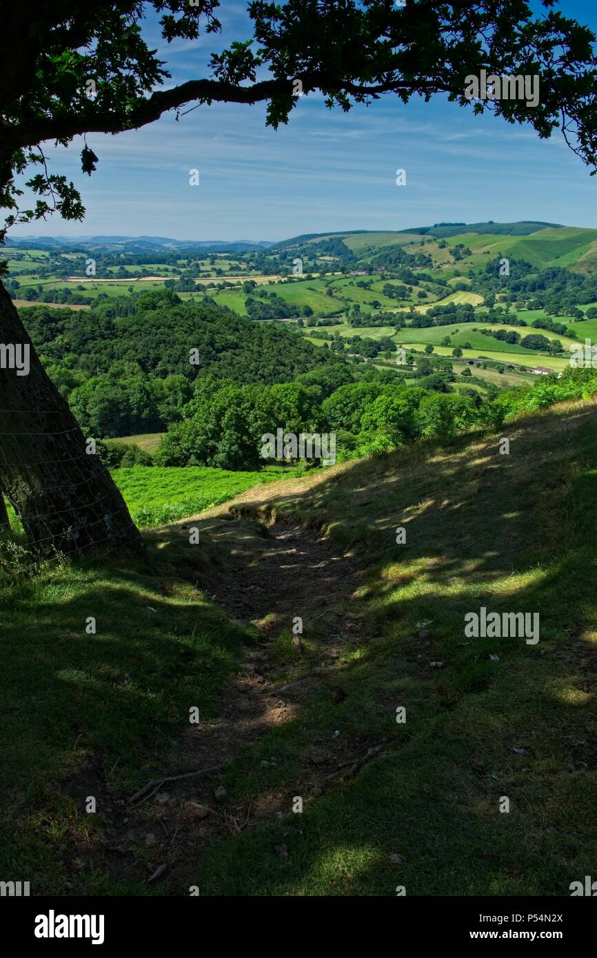 Minton hill hi-res stock photography and images - Alamy