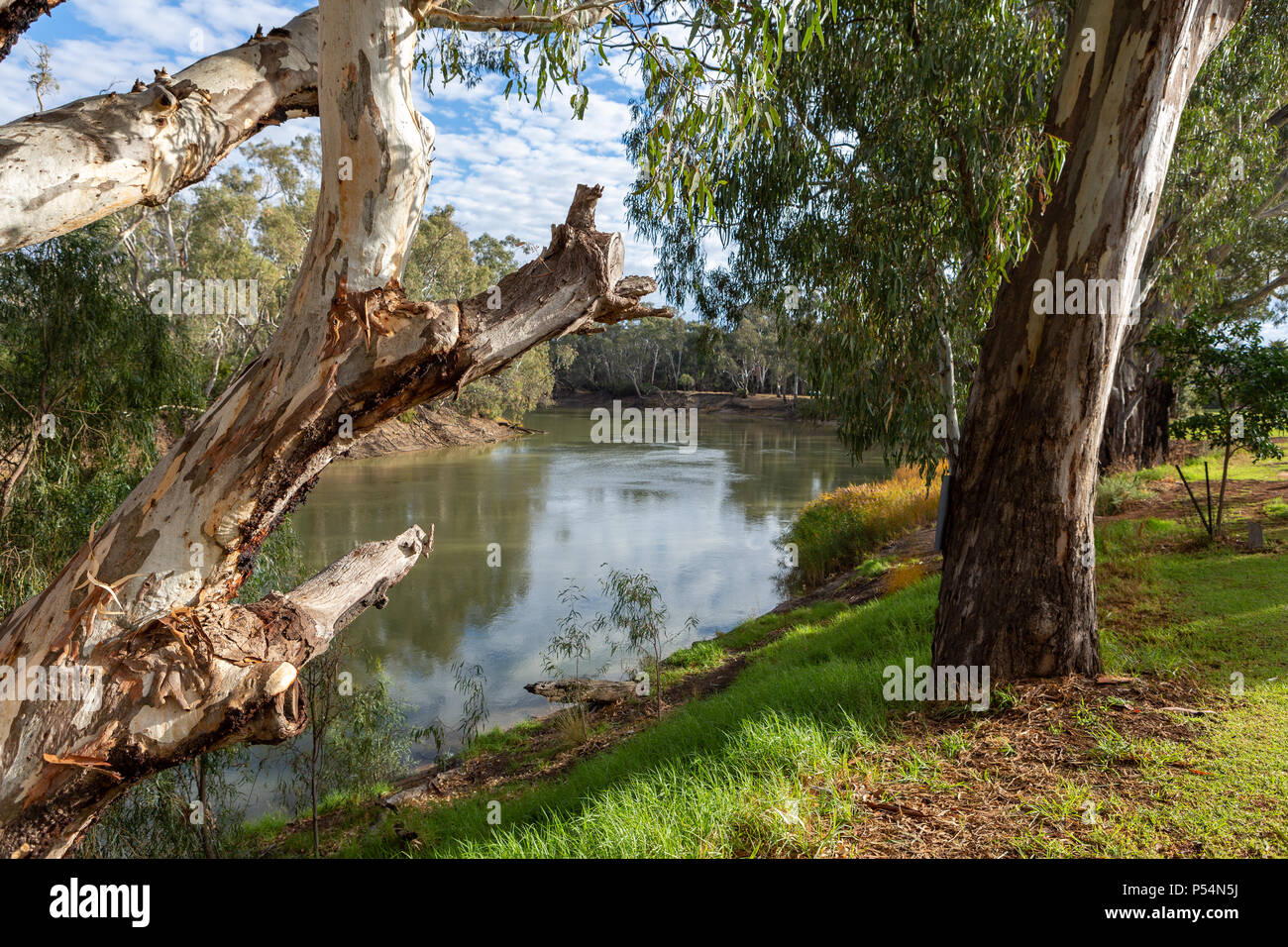 River Murray Stock Photos & River Murray Stock Images - Alamy