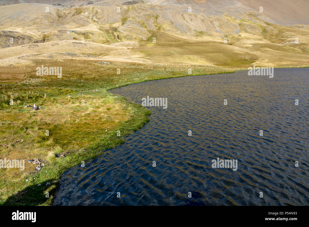 Hidden lakes in Shackleton Valley, South Georgia Island Stock Photo - Alamy