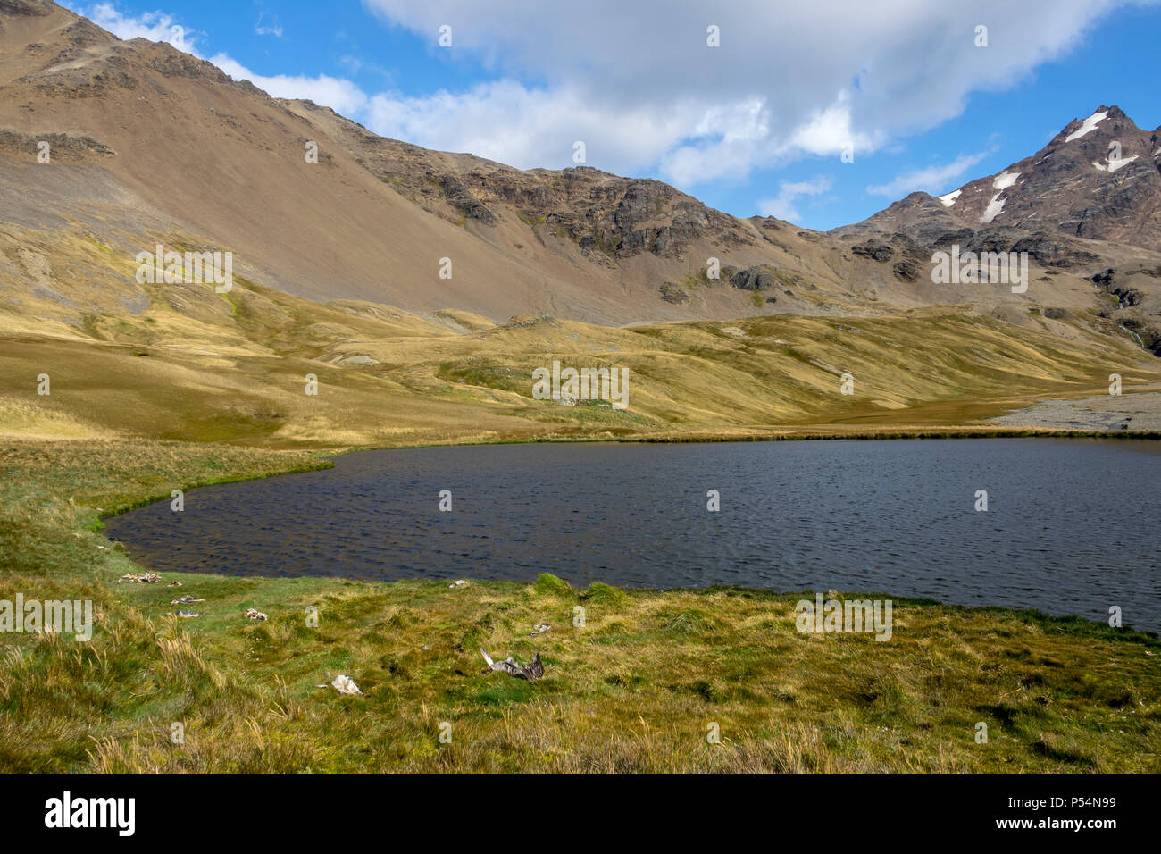 Hidden lakes in Shackleton Valley, South Georgia Island Stock Photo - Alamy