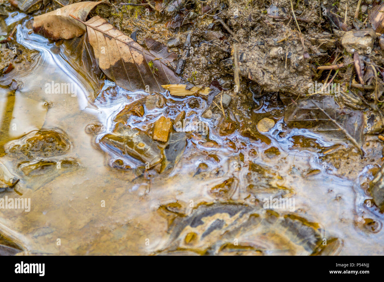 pollution theme showing iridescent flowmarks in wet ambiance Stock ...