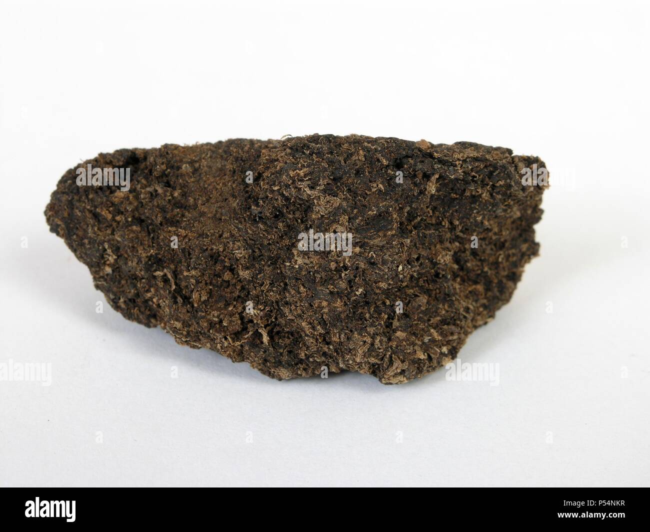 TURBA. Material de color pardusco más o menos oscuro y de estructura ...