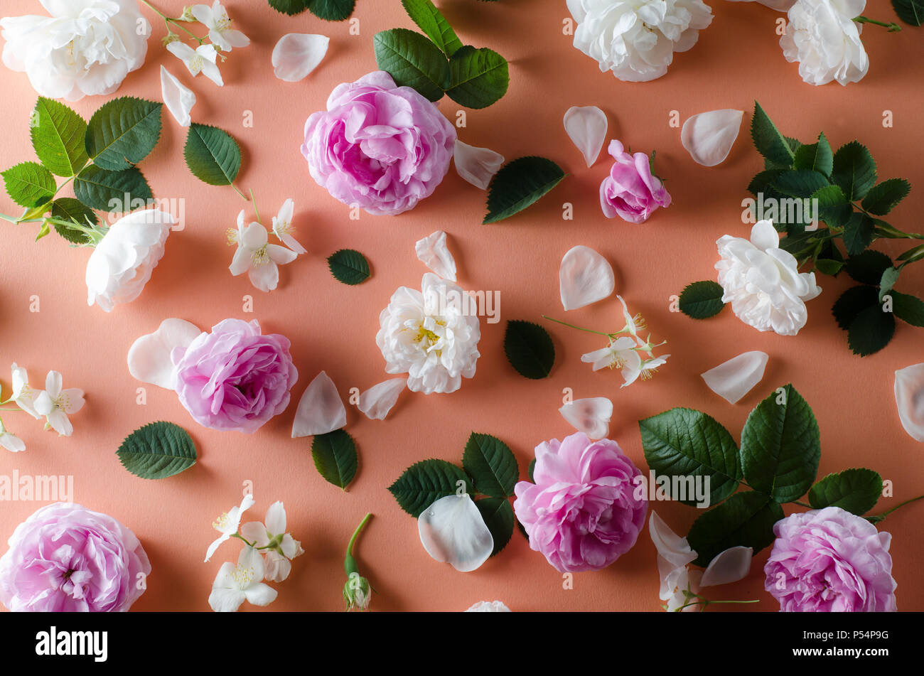 Background of tea roses flowers on a gentle pink background. Flat lay ...
